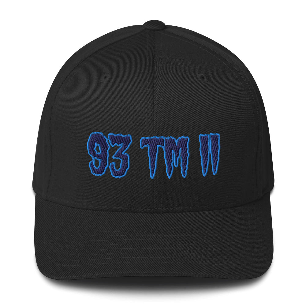 93 TM 11 Fitted Hat ( Navy Blue Letters & Powder Blue Outline ) – Team ...